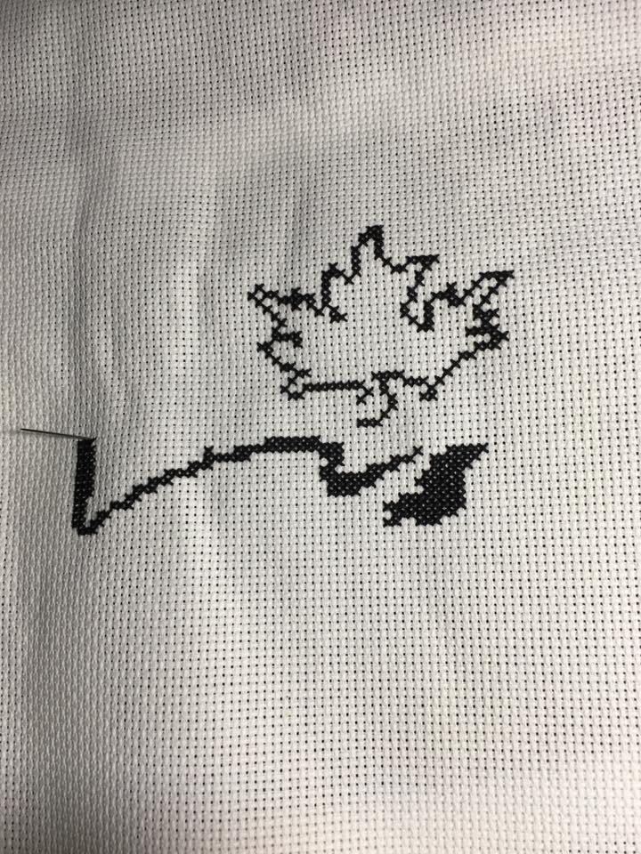 Do You Have What it Takes? – Canada Stitches